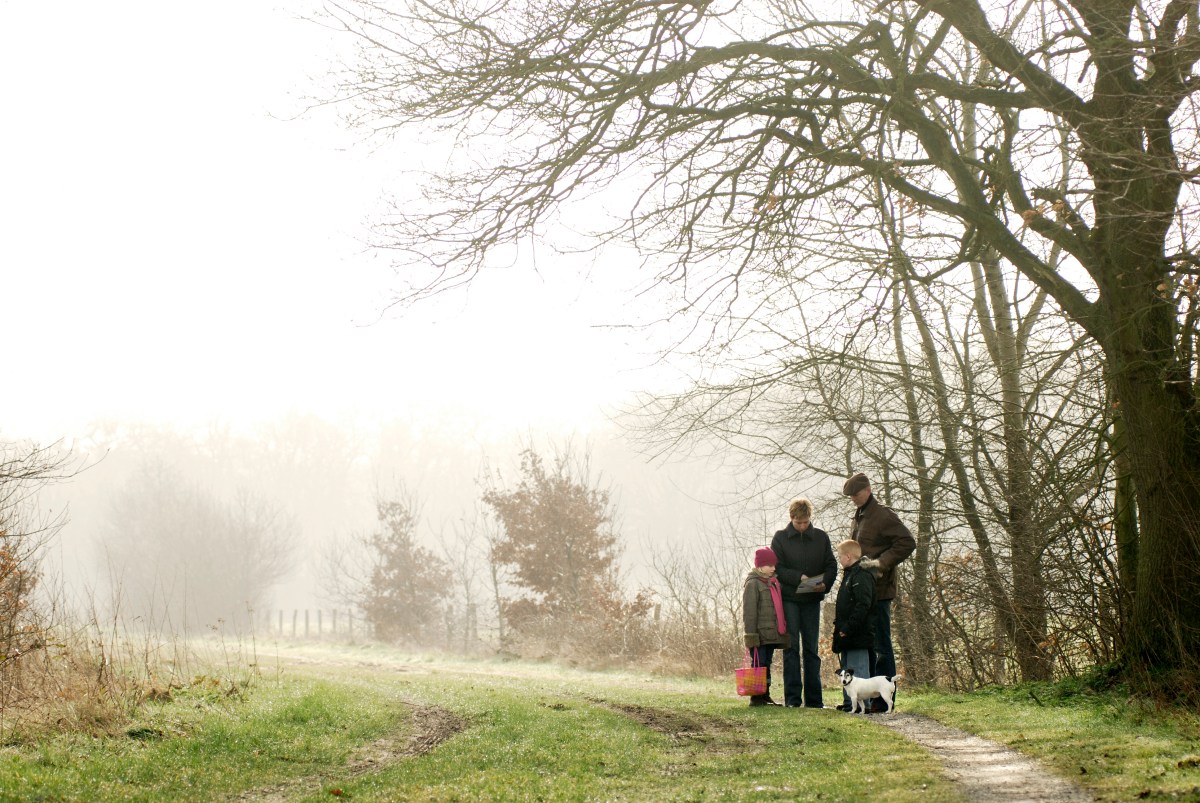 Wandelroute: Wandelen in het Dal van de Ruiten Aa